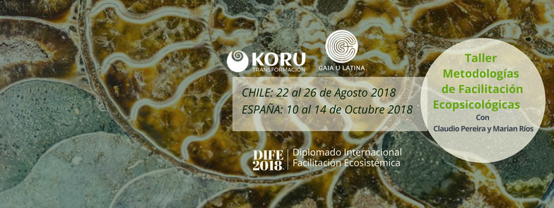 Modulos DIFE 2018 | Koru Transformación