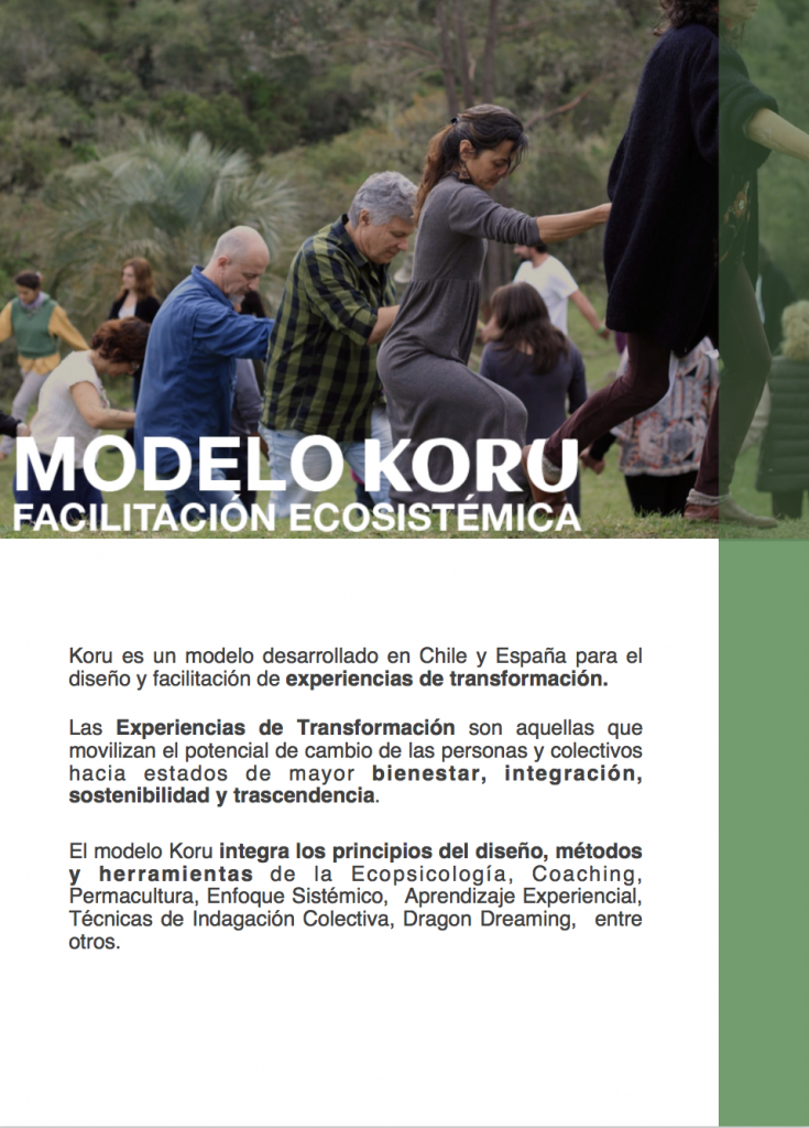 Captura de pantalla 2018-08-15 16.18.29 | Koru Transformación