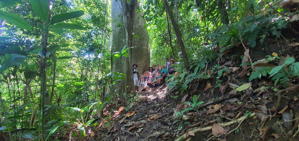 Ecotuning Training | Koru Transformación