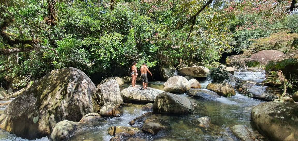 Las emociones no son biodegradables | Koru Transformación