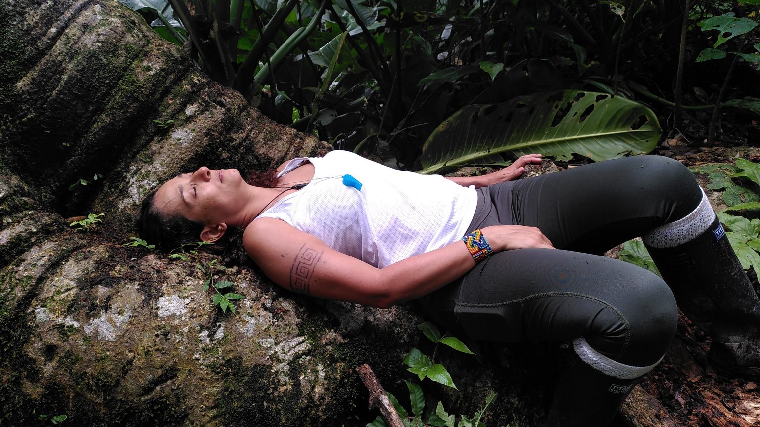 Senderos del alma: Los instintos primordiales como guías de ecosintonización. | Koru Transformación