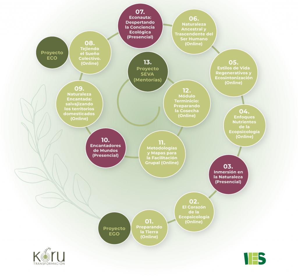 Ecotuning Training | Koru Transformación